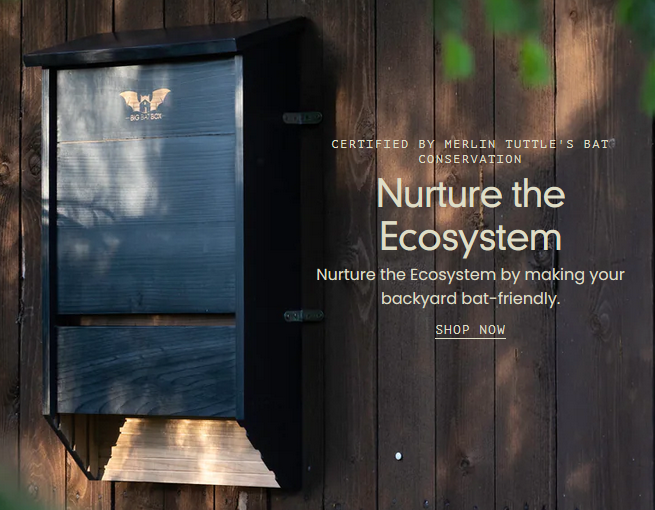 Big Bat Box: Bringing the Wilderness to Your Backyard. – N Design Studyosu